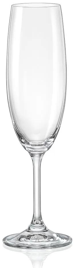 Crystalex - Bohemia Crystal Sklenice na šampaňské Lara 220 ml, 6 ks