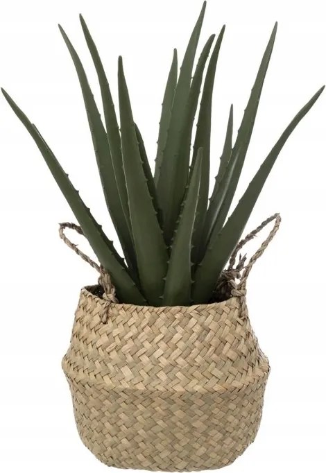 Umělá rostlina Aloe v košíku, 37 cm