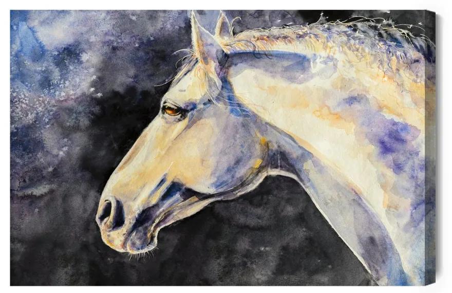 Obraz Světlý Kůň Na Tmavém Pozadí Nedostatek Nedostatek Plátno Canvas 90x60