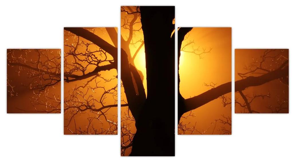 Obraz stromu v západu slunce (125x70 cm)