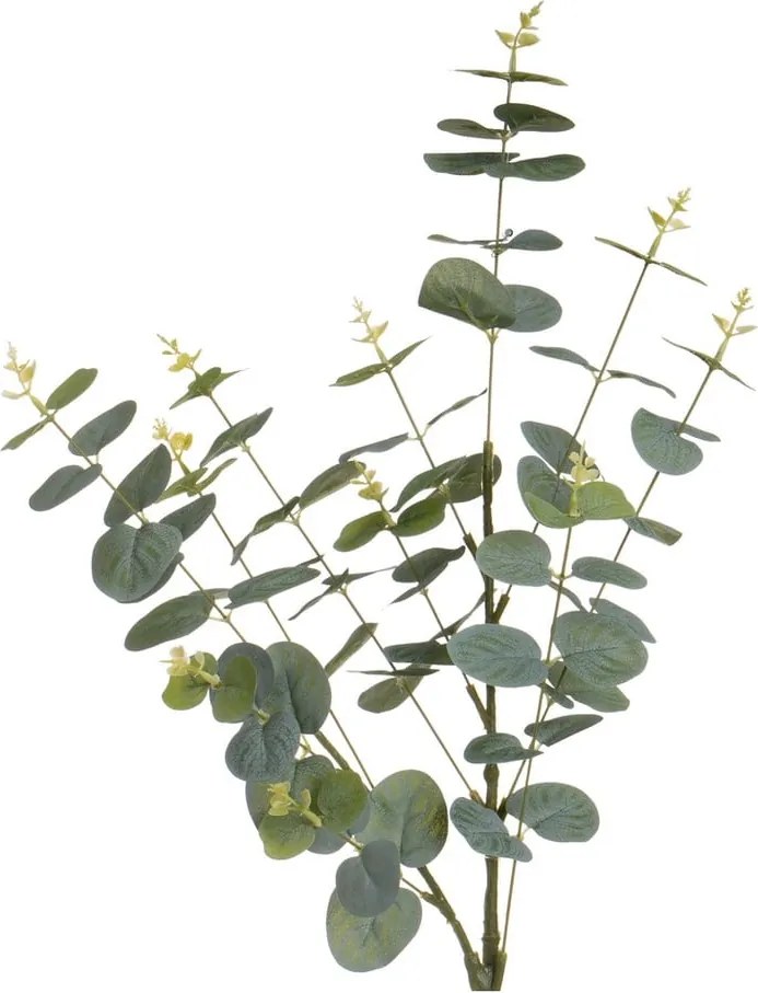 Umělý eukalyptus 4 ks (výška 85 cm) – Casa Selección