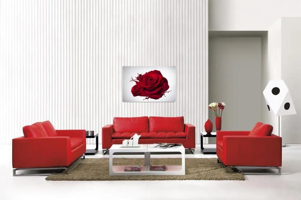 Malvis ® Obraz - Růže Velikost: 90x60 cm