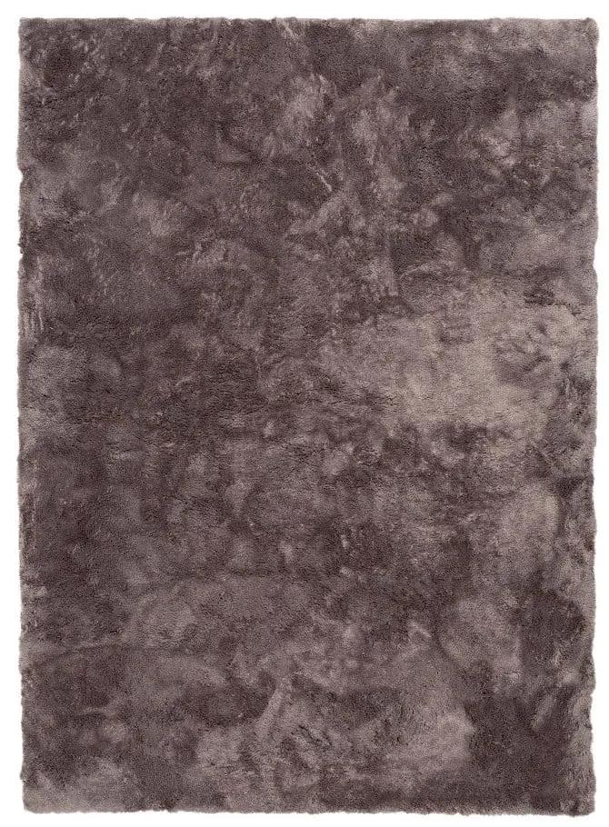 Šedý koberec Universal Nepal Liso Gris, 200 x 290 cm