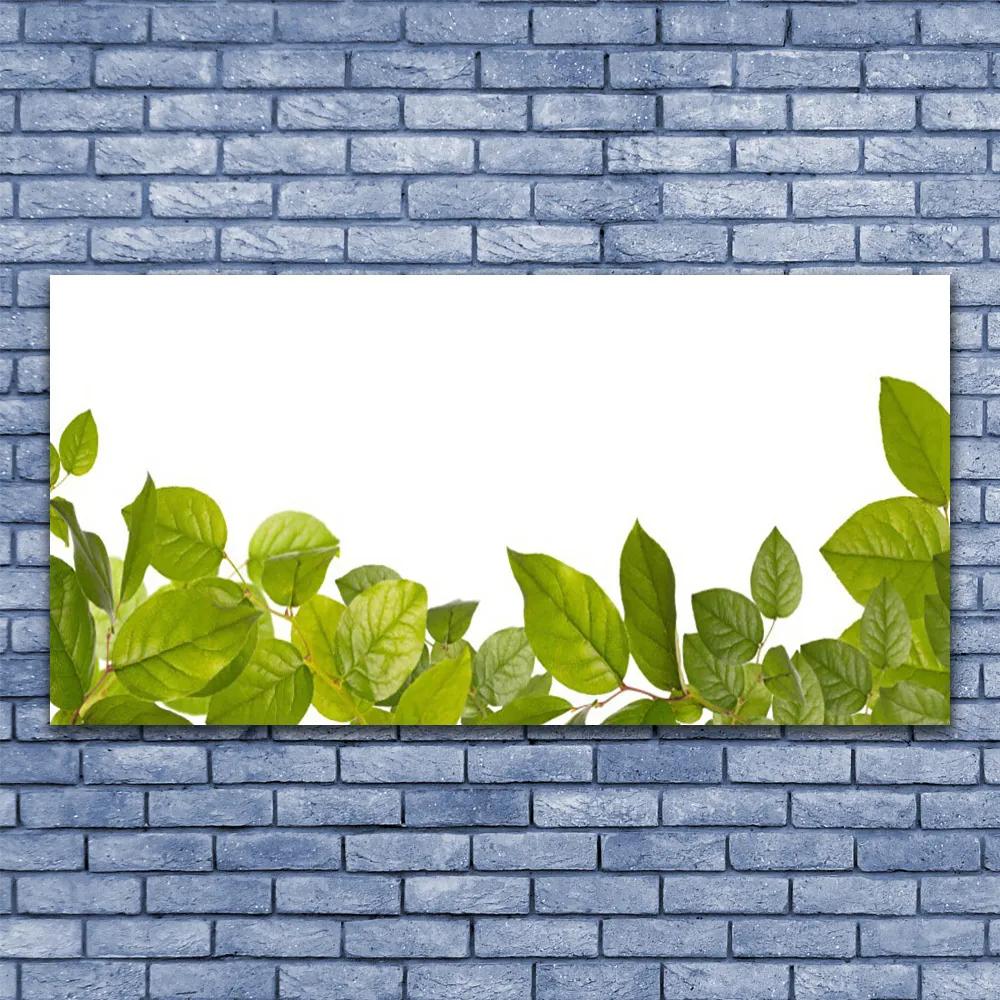 akrylový obraz Listy Příroda Rostlina 120x60 cm
