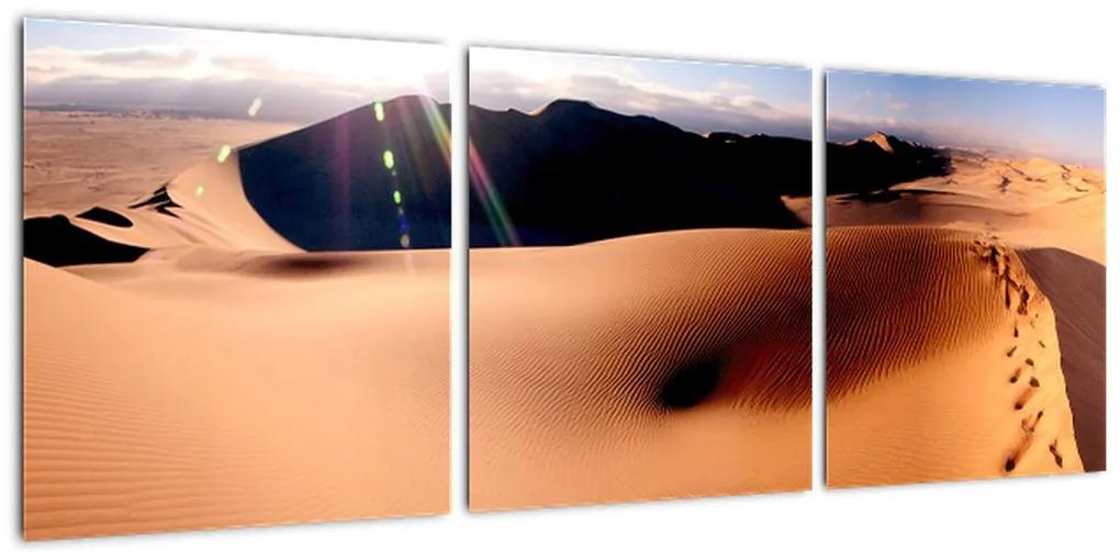 Obraz pouště na stěnu
