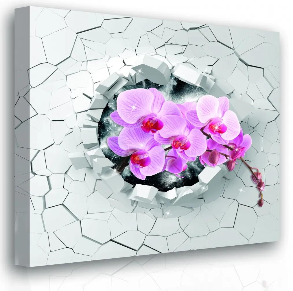 Obraz - orchidej (60x60 cm) - InSmile ®