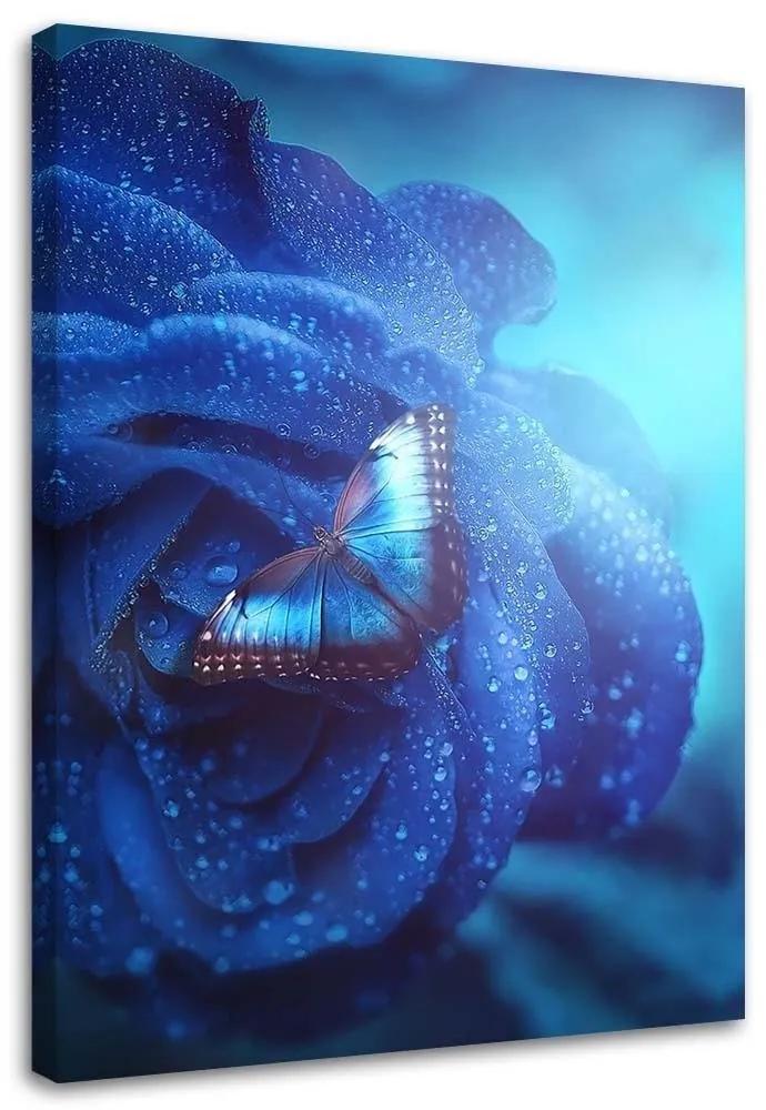 Gario Obraz na plátně Motýl a kouzelná modrá růže - Jose Francese Rozměry: 40 x 60 cm