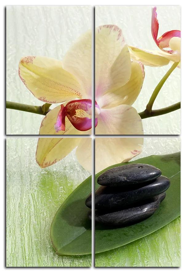 Obraz na plátně - Květy orchideje - obdélník 762D (120x80 cm)