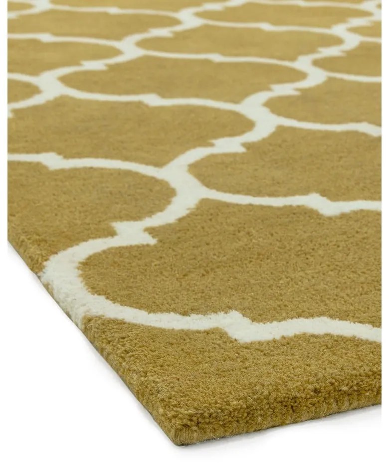 Okrově žlutý ručně tkaný vlněný koberec 200x290 cm Albany – Asiatic Carpets