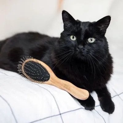 Anju Beauté Kartáč pro psy a kočky Velikost: M