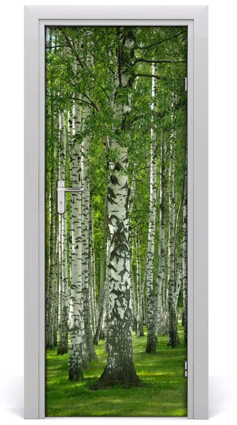 Fototapeta na dveře břízový les 75x205 cm