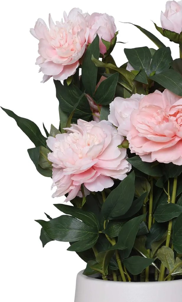 Umělá pivoňka v krémovém květináči PEONY, výška 70 cm, růžová