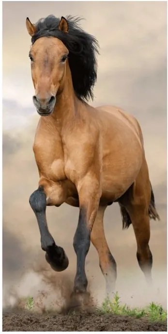 Jerry Fabrics Dětská osuška 70 × 140 cm ‒ Kůň "Brown"