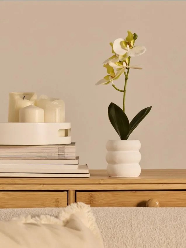 Sinsay - Dekorativní rostlina v květináči – orchidej - bílá