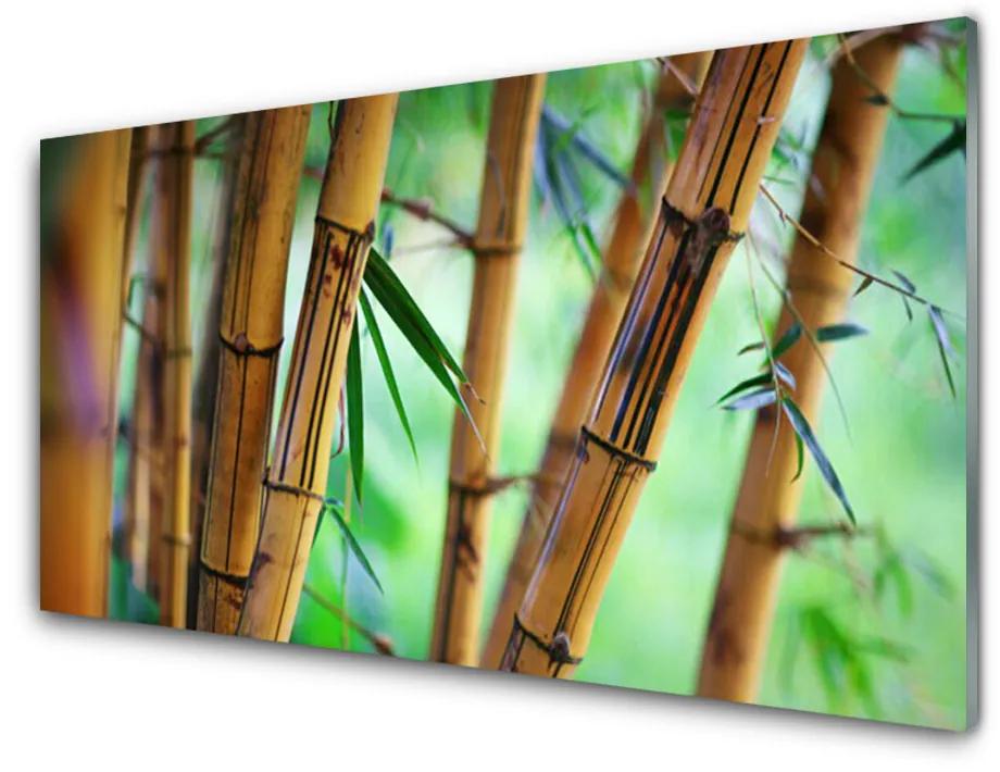 Obraz na skle Bambus Příroda Rostlina 140x70 cm