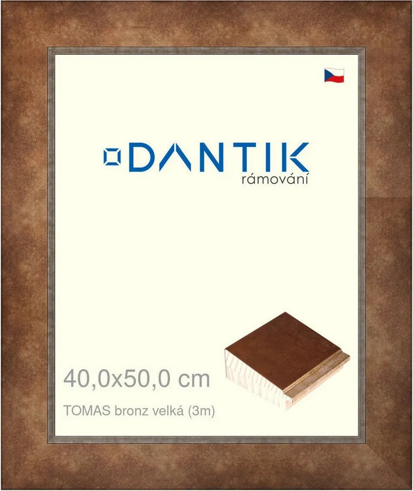 DANTIK rámeček 40x50 | TOMAS bronz velká (Plexi Čiré)
