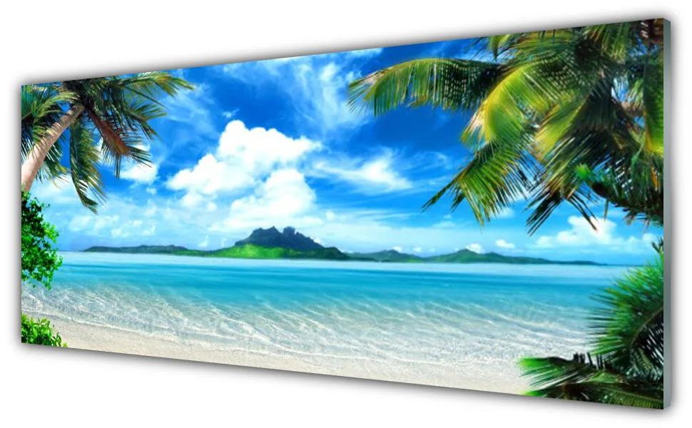 Plexisklo-obraz Palmy Moře Tropický Ostrov 125x50 cm