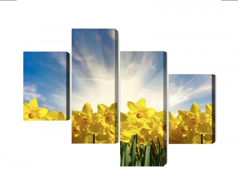Vícedílný obraz 3D Pole Narcisů Nedostatek Nedostatek Přírodní plátno 160x100