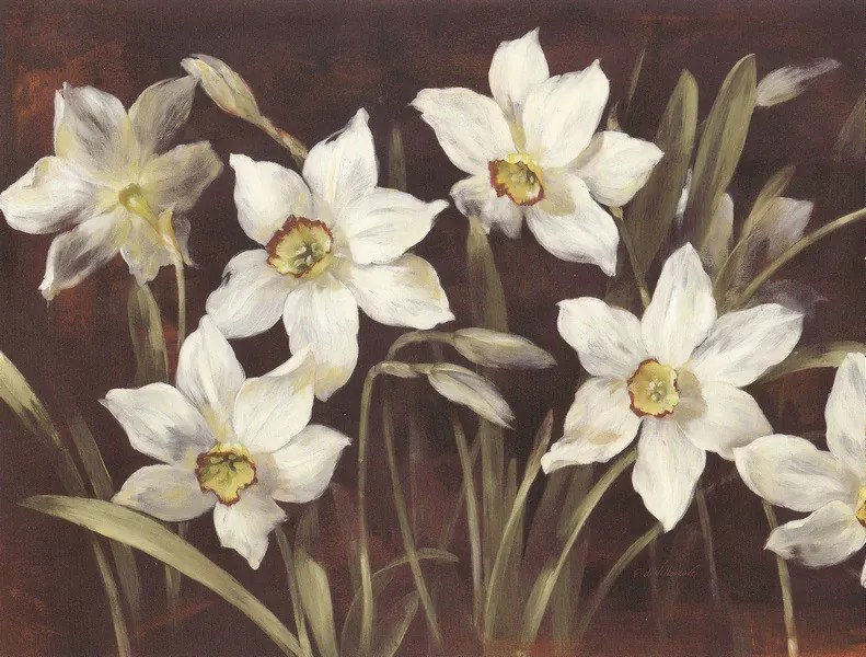 ART-STYLE Obrázek 17x22, narcisy v bílé, rám bílý s patinou