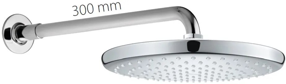 Grohe Tempesta - Hlavová sprcha Tempesta 250 s přípojným ramenem, chrom 26666000+ALBD 034