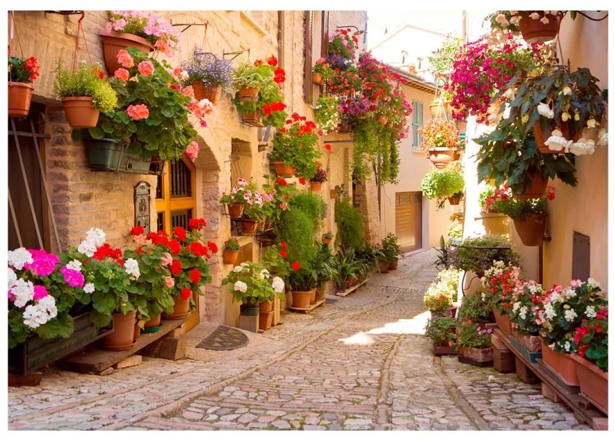 Fototapeta - The Alley in Spello (Italy)