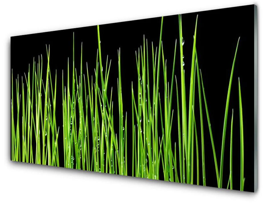 akrylový obraz Plevel 125x50 cm