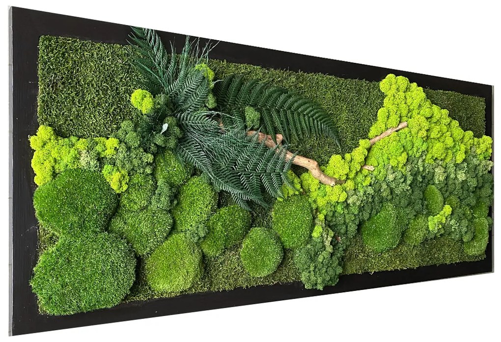 WOODILO Obraz ze stabilizovaného mechu a rostlin 212 Rozměr obrazu: 100x100 cm, Barva rámu: Černá, Síla rámu (pohledová): 3,7 cm
