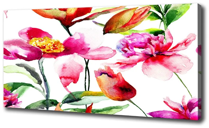 Wallmuralia Foto obraz na plátně Divoké květiny 100x50