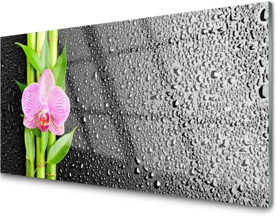 Obraz na skle Bambus Stonke Květ Rostlina