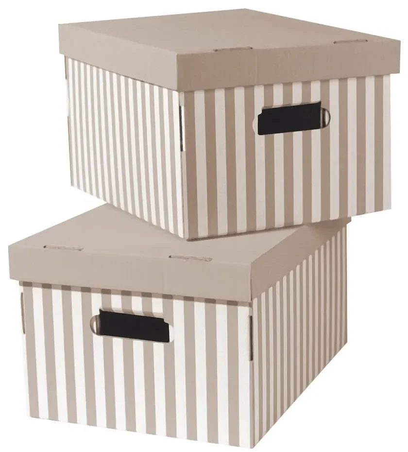 Kartonové úložné boxy s víkem v sadě 2 ks Stripes – Compactor | BIANO