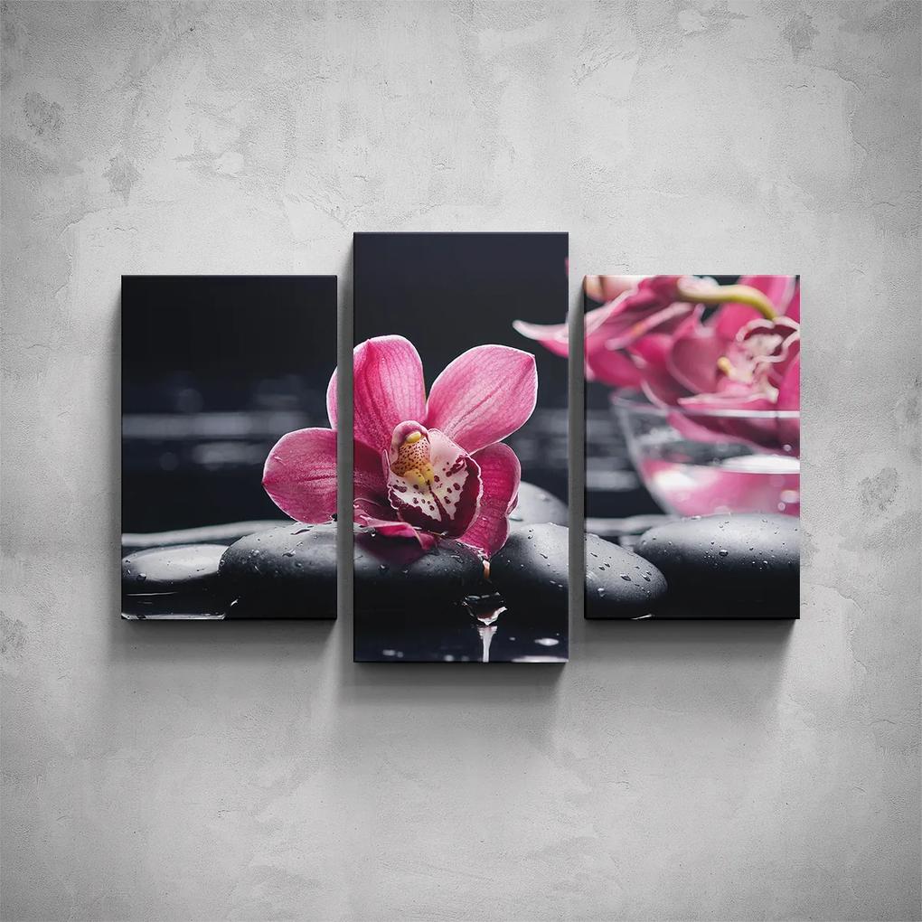 3-dílný obraz - Růžová orchidea - PopyDesign