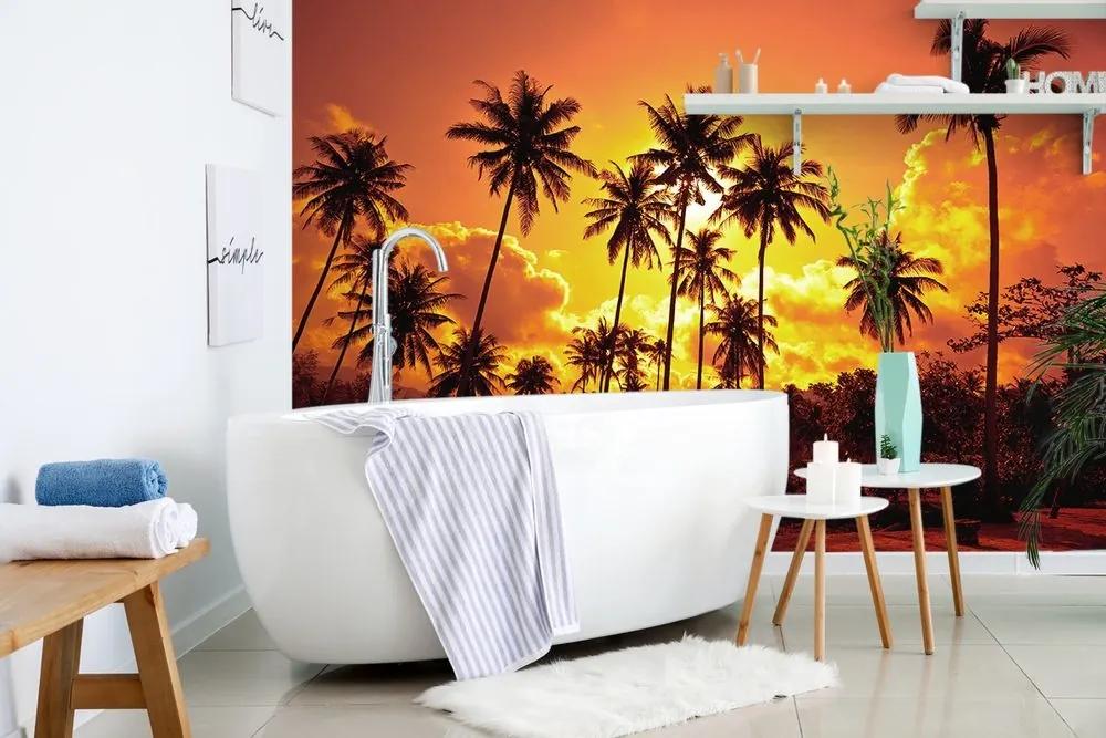 Samolepící tapeta kokosové palmy na pláži - 450x300 cm