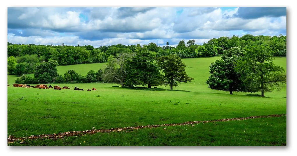 Foto obraz sklo tvrzené Zelené pahorky