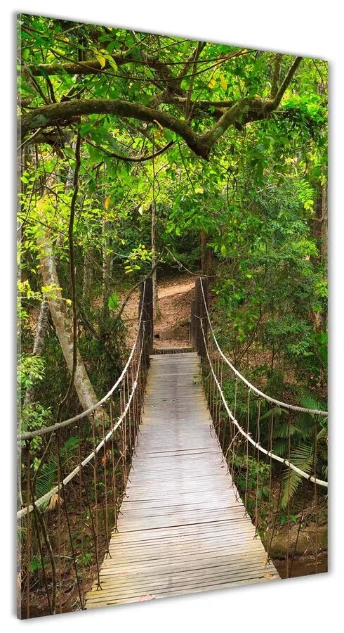 Wallmuralia Fotoobraz na skle Visací most v lese 50x100 cm
