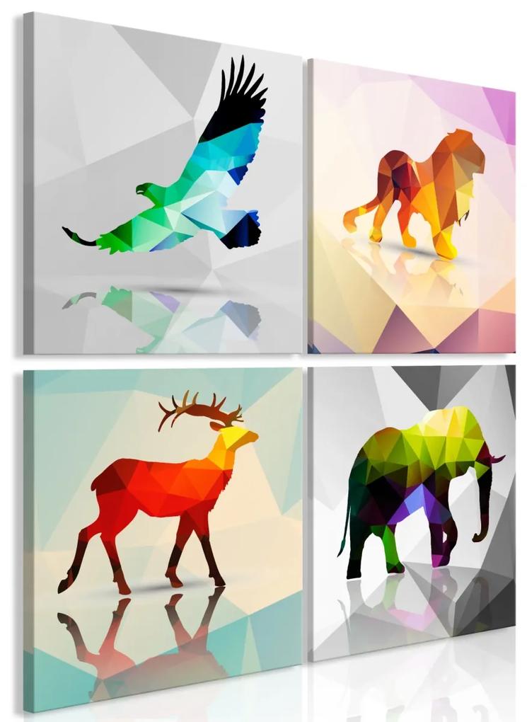 Obraz - Colourful Animals (4 Parts)