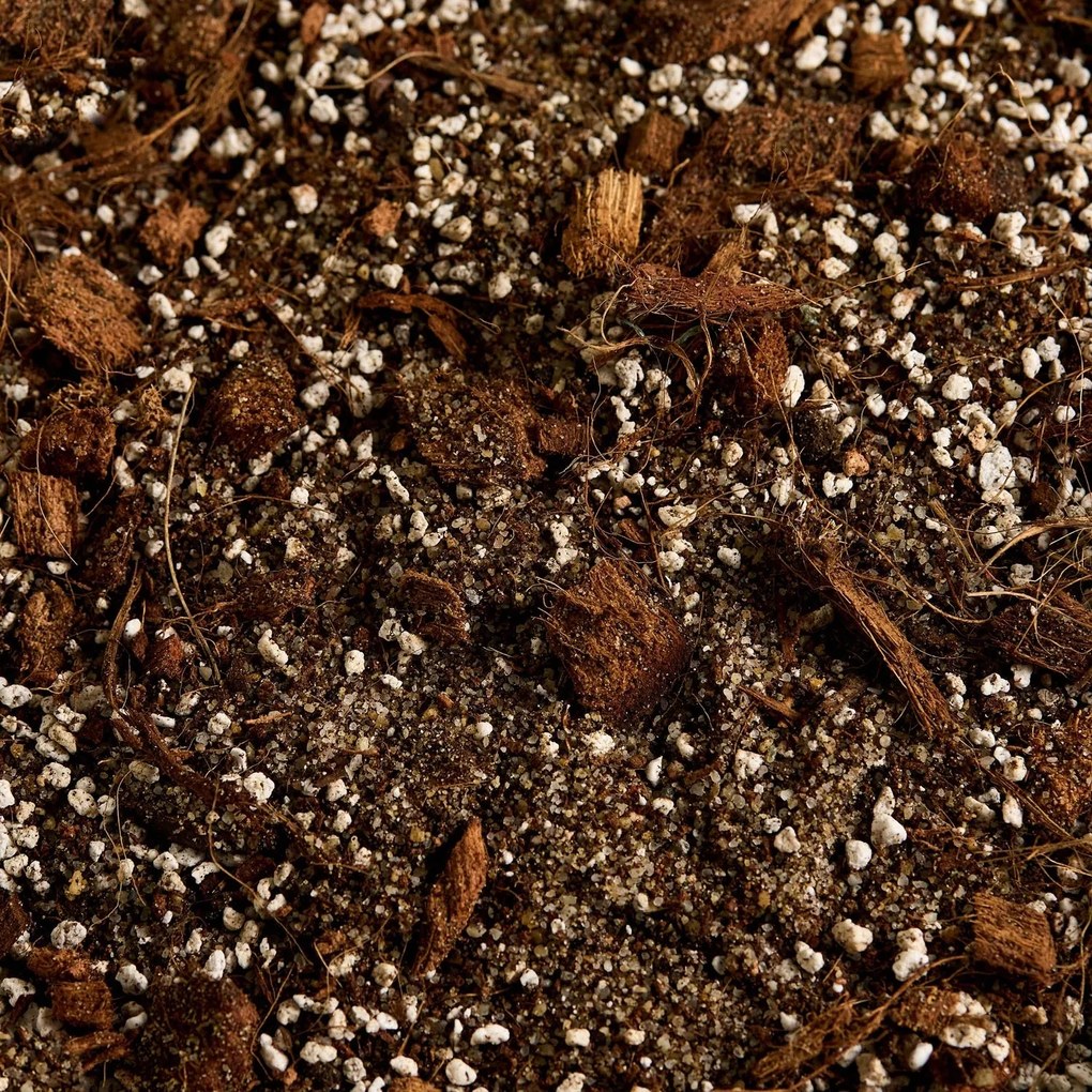 SOILY ALOKÁZIE™ - Substrát bez rašeliny 1L