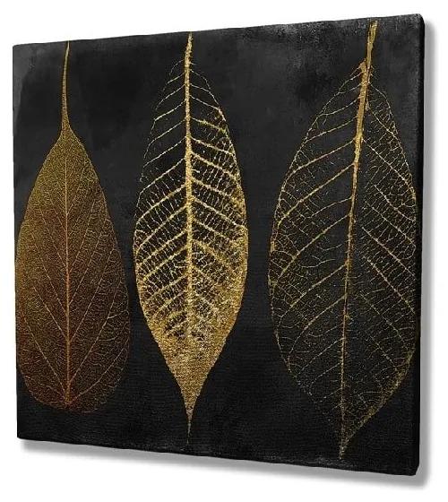 Obraz na plátně Autumn Leaves, 45 x 45 cm