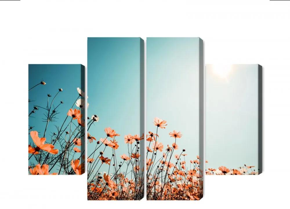 Vícedílný obraz Polní Květiny Na Slunci Nedostatek Nedostatek Přírodní plátno 160x120