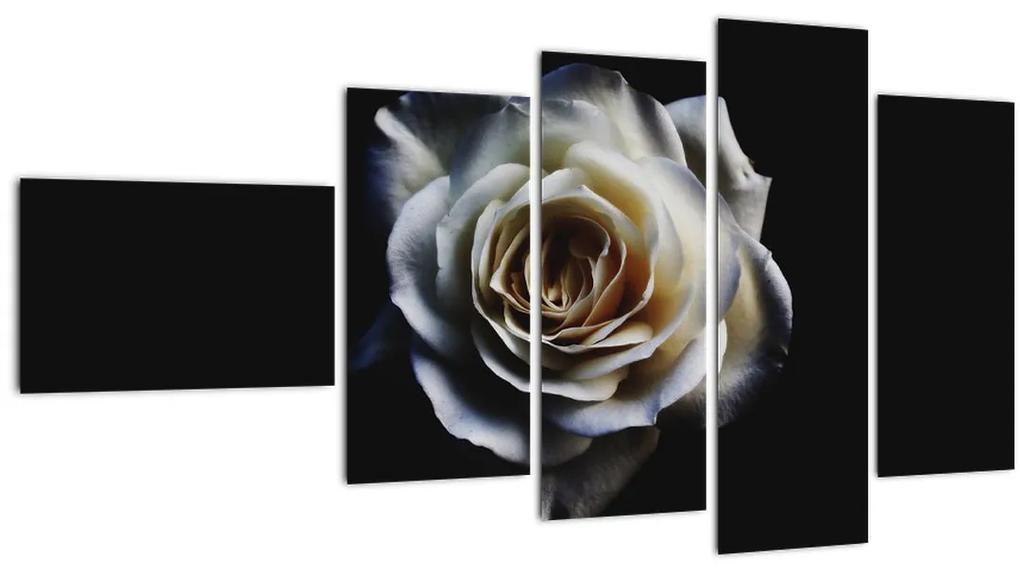 Obraz bílé růže (110x60 cm), 40 dalších rozměrů