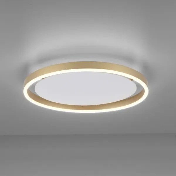 Leuchten Direkt 15391-60 - LED Stmívatelné stropní svítidlo RITUS LED/20W/230V