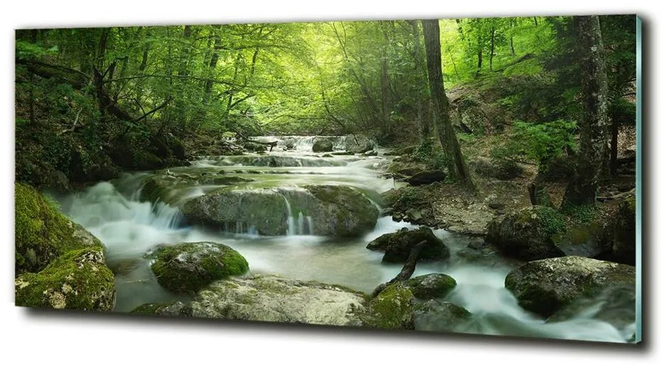 Wallmuralia Fotoobraz na skle Vodopád v lese 125x50 cm