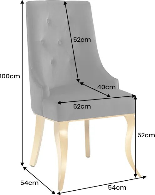 Designová židle Rococo Lví hlava černá / zlatá