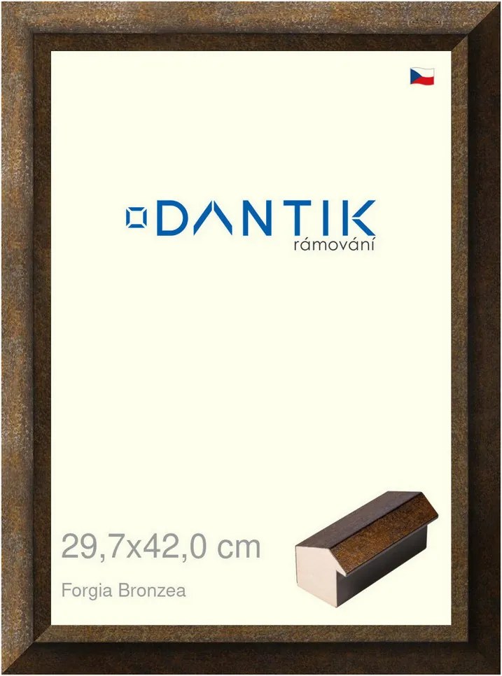 DANTIK rámeček 29,7x42 | Forgia Bronzea (Plexi Čiré)