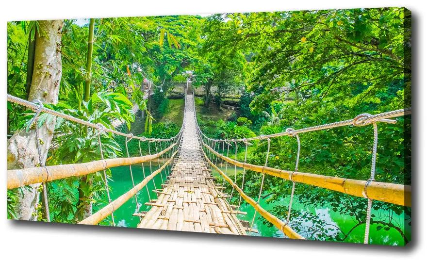 Wallmuralia Foto obraz na plátně Most bambusový les 100x50