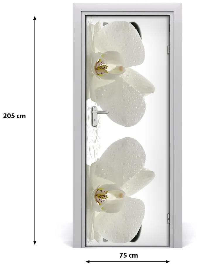 Fototapeta samolepící Orchidej a kamení 75x205 cm
