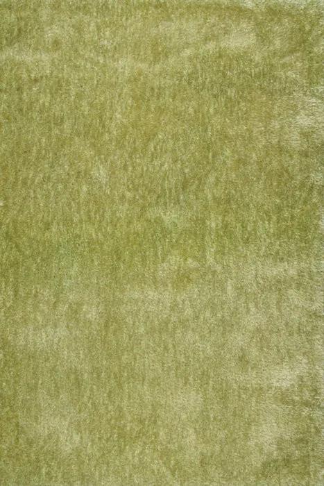 Vopi | Kusový koberec Borneo Shaggy Green - 120 x 170 cm