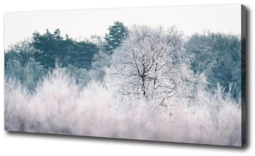 Wallmuralia Foto obraz na plátně do obýváku Stromy zimou 100x50