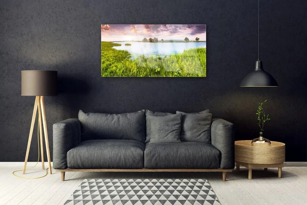 Obraz na skle Tráva Jezero Příroda 100x50 cm