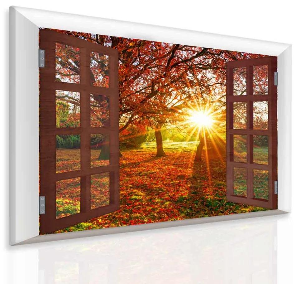3D obraz okno podzimu Velikost (šířka x výška): 80x60 cm
