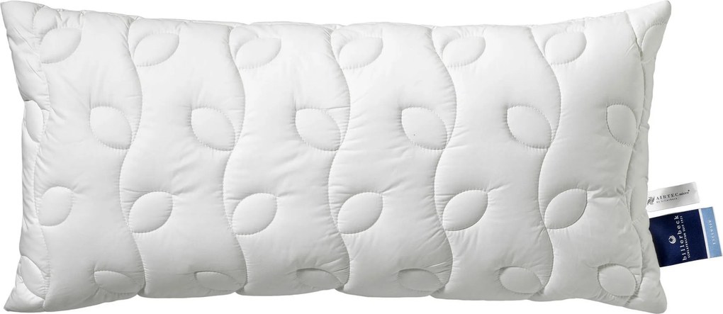 XXXLutz POLŠTÁŘ POD HLAVU, 40/80 cm Billerbeck - Polštáře pod hlavu - 003279086401